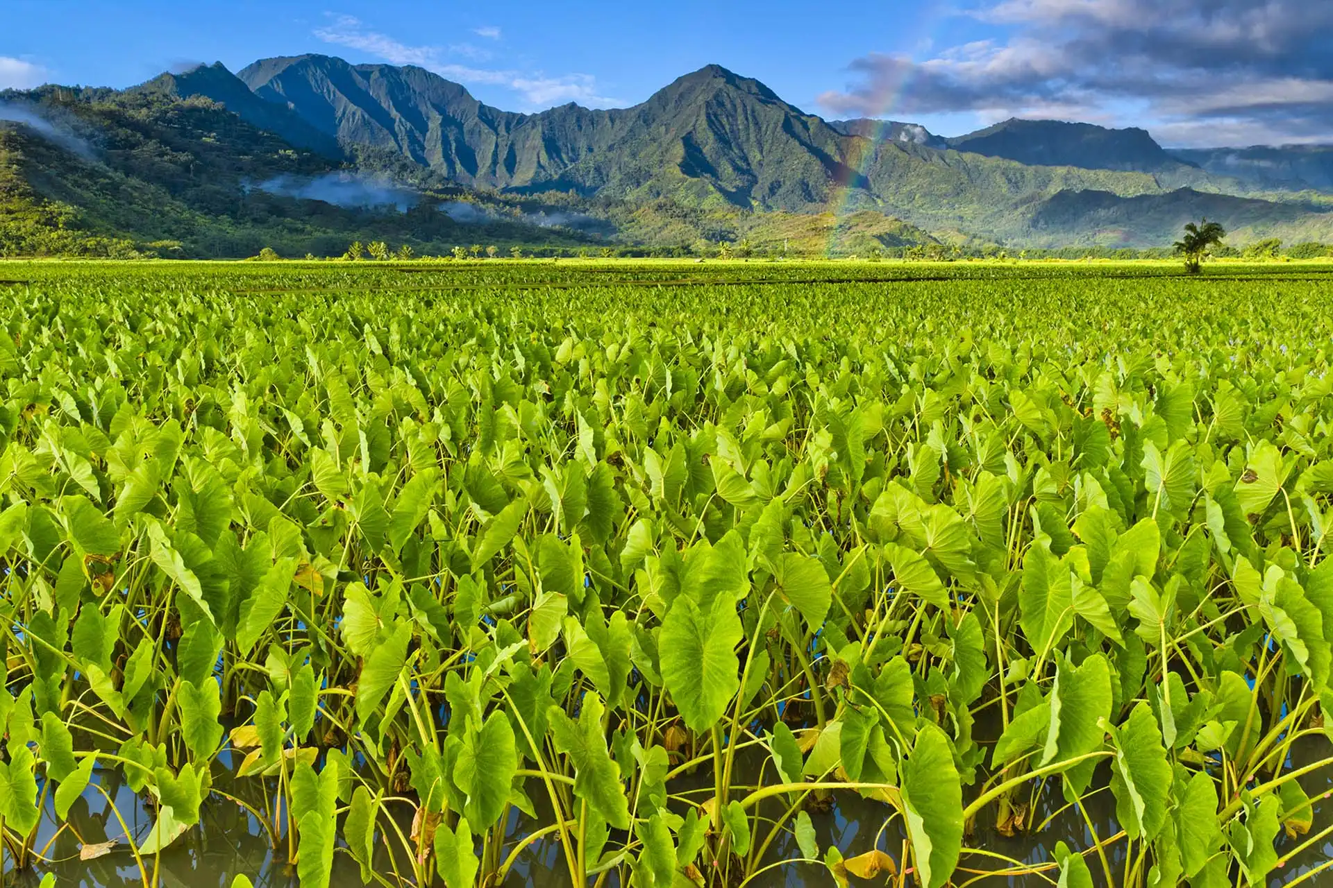 Conservation Science - MSc, PhD - Postgraduate courses - University of Kent