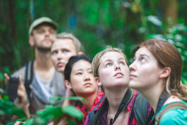 Ecology and Conservation - BSc (Hons) - Undergraduate courses ...