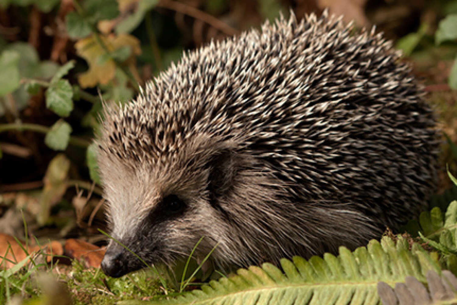 Sustainability - Student life - University of Kent