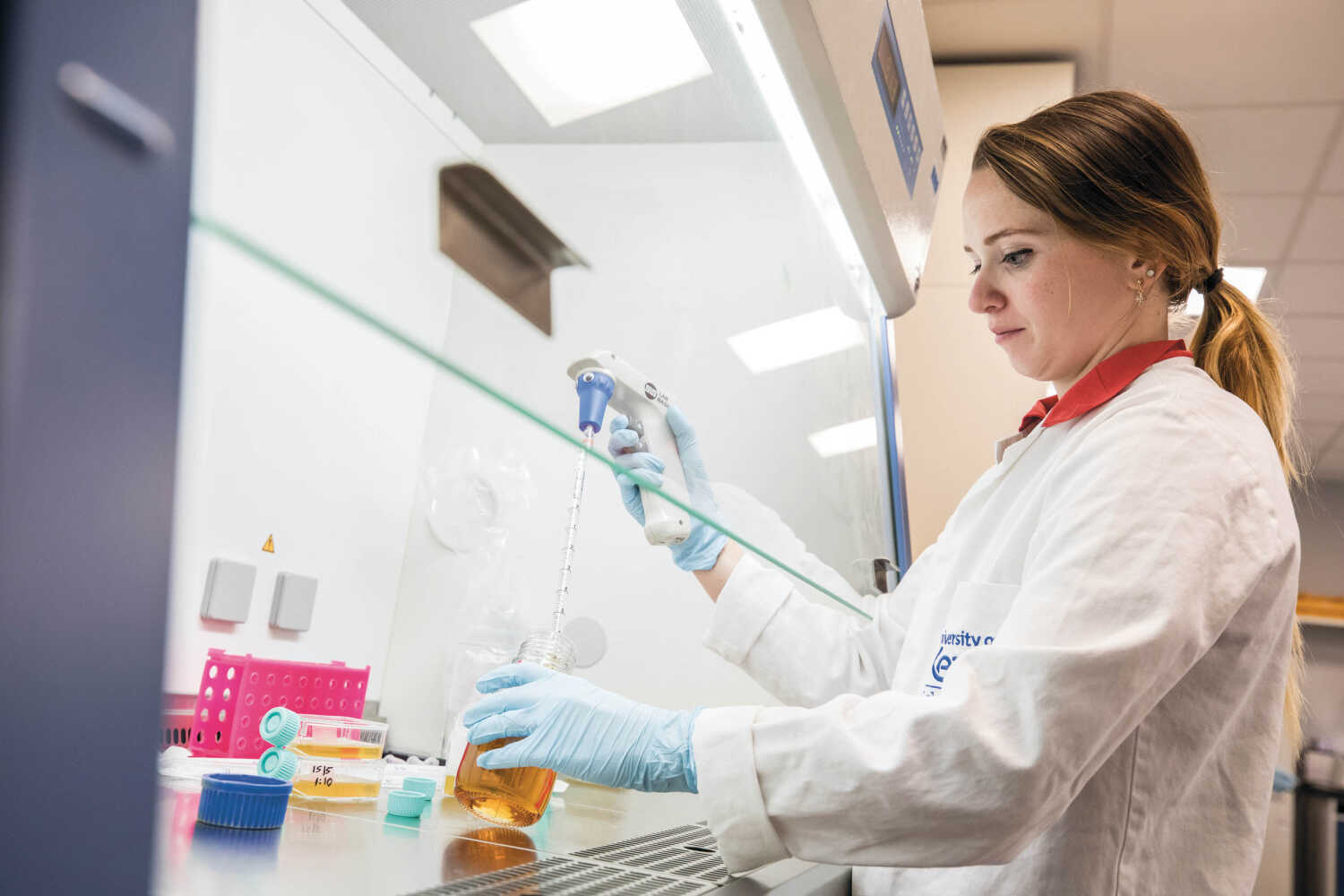 Researcher Development Programme - Your studies - University of Kent