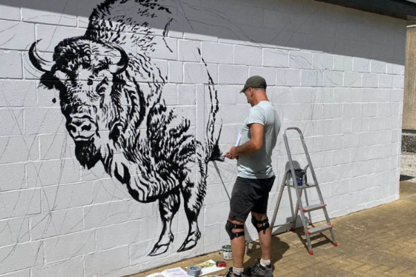 Bison Mural - Wellbeing map - University of Kent