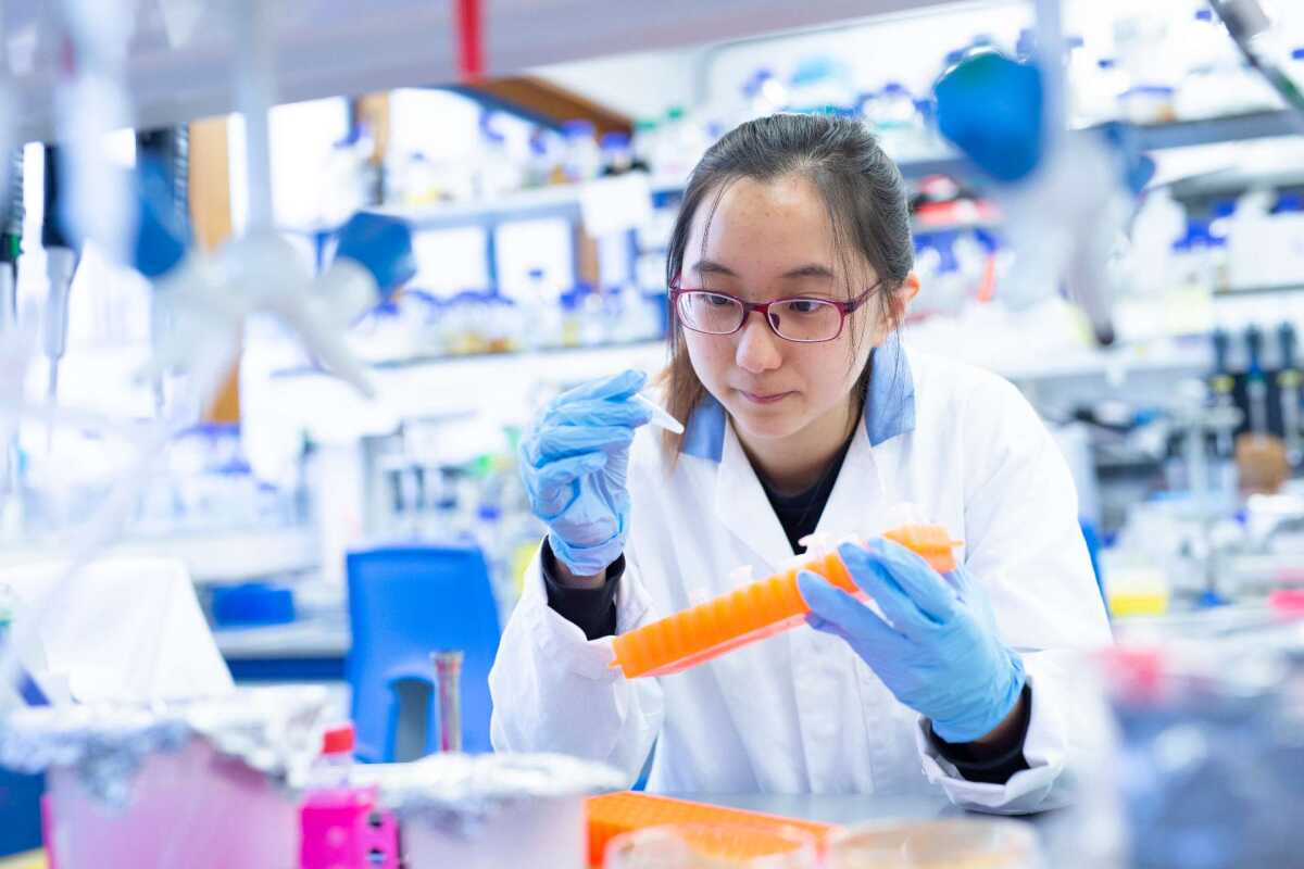 Employability at Kent - Careers and employability service - University of Kent