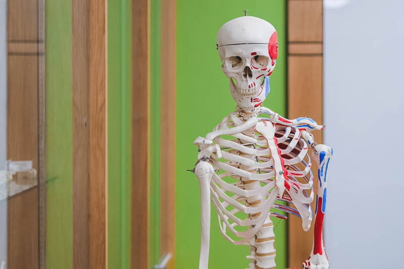 Study Human and Social Sciences at Kent - University of Kent ...