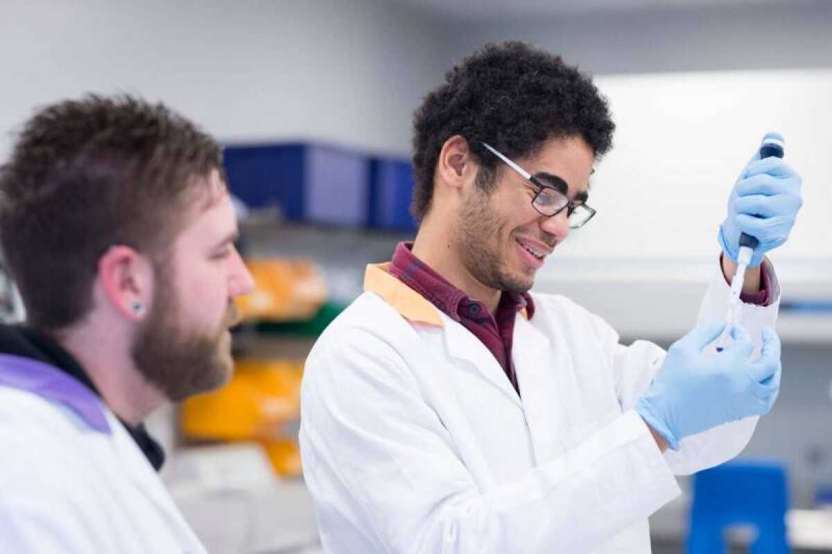 Biomedical Science - BSc (Hons) - Undergraduate courses - University of ...