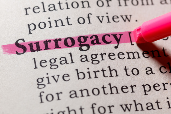 Law (Integrated Master's in Solicitors’ Practice) - MLaw - Undergraduate courses - University of ...