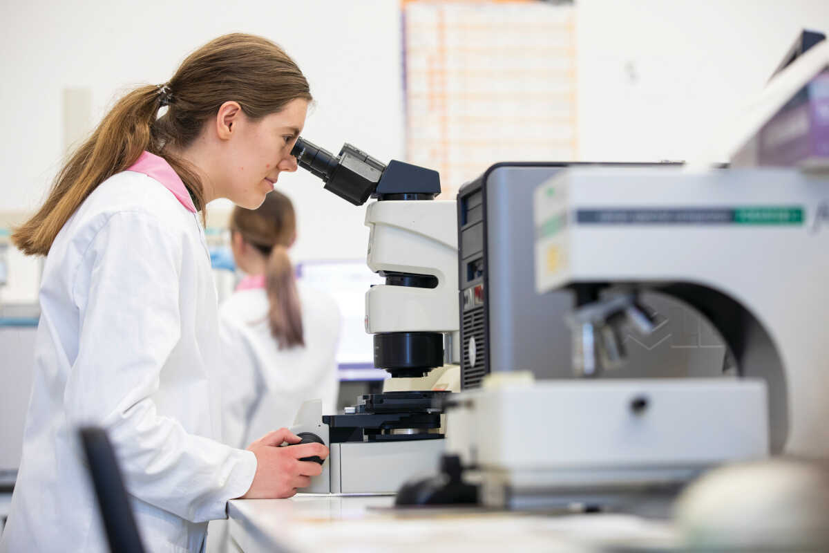 Undergraduate - Biosciences at Kent - University of Kent