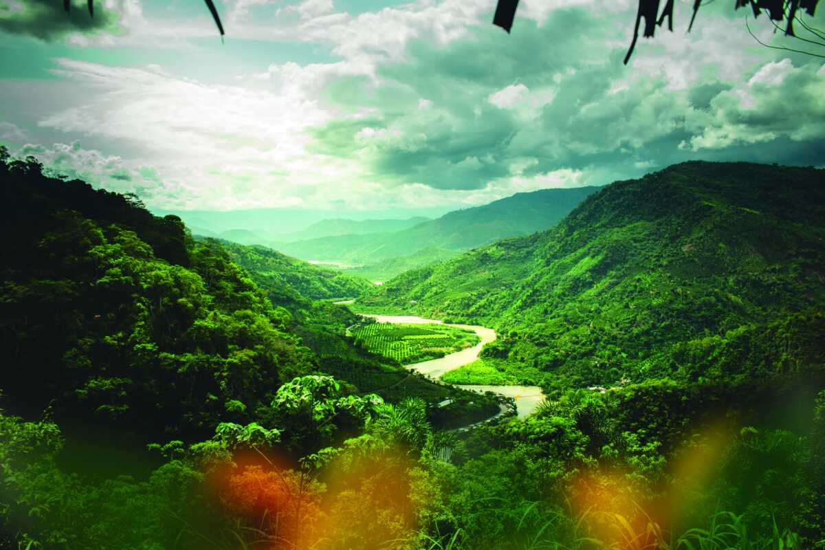 Coffee at Kent - Catering - University of Kent