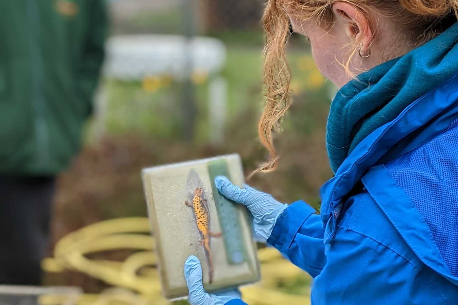 Conservation Science - MSc - Postgraduate courses - University of Kent