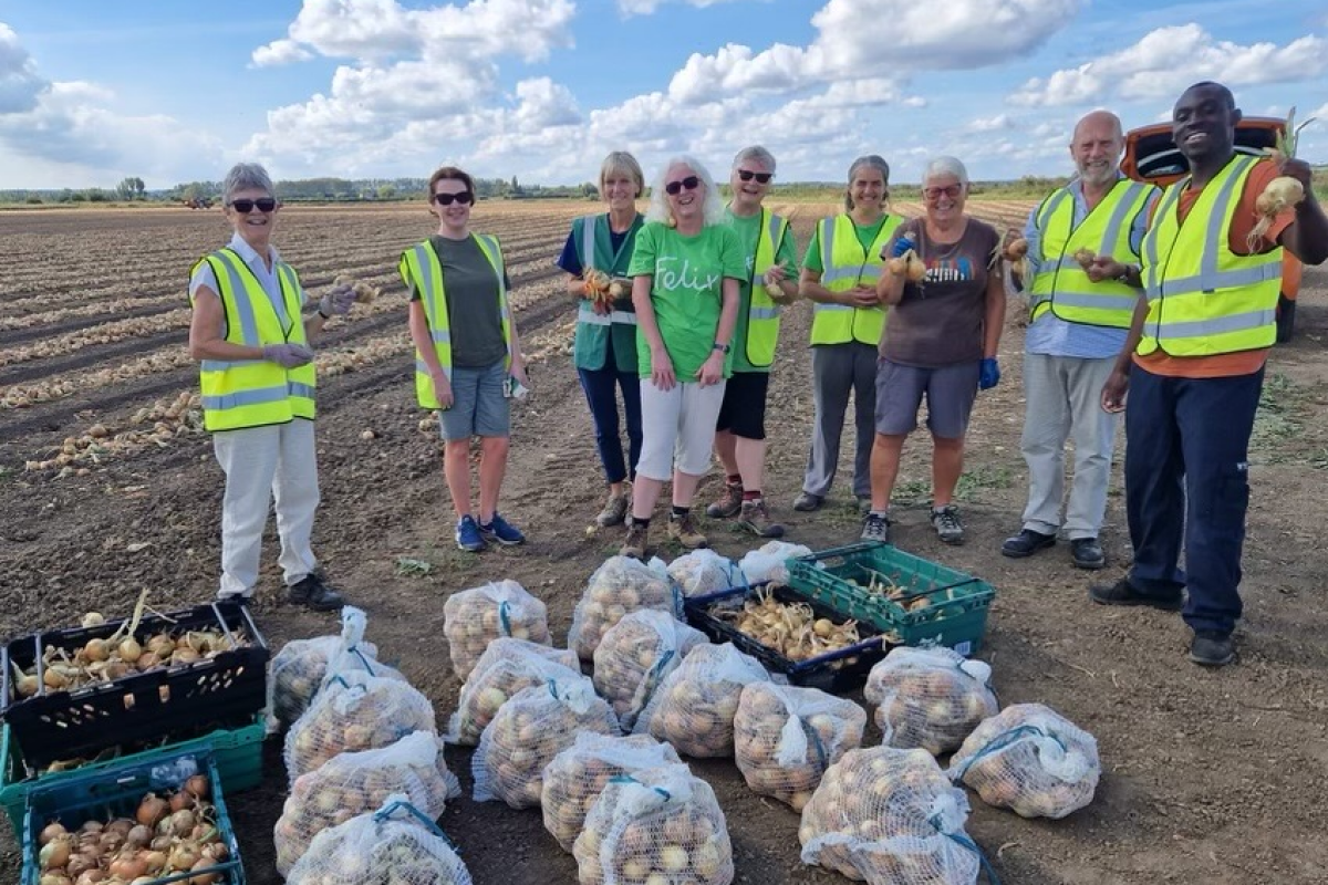 The gleaning project at the University of Kent - Student life ...