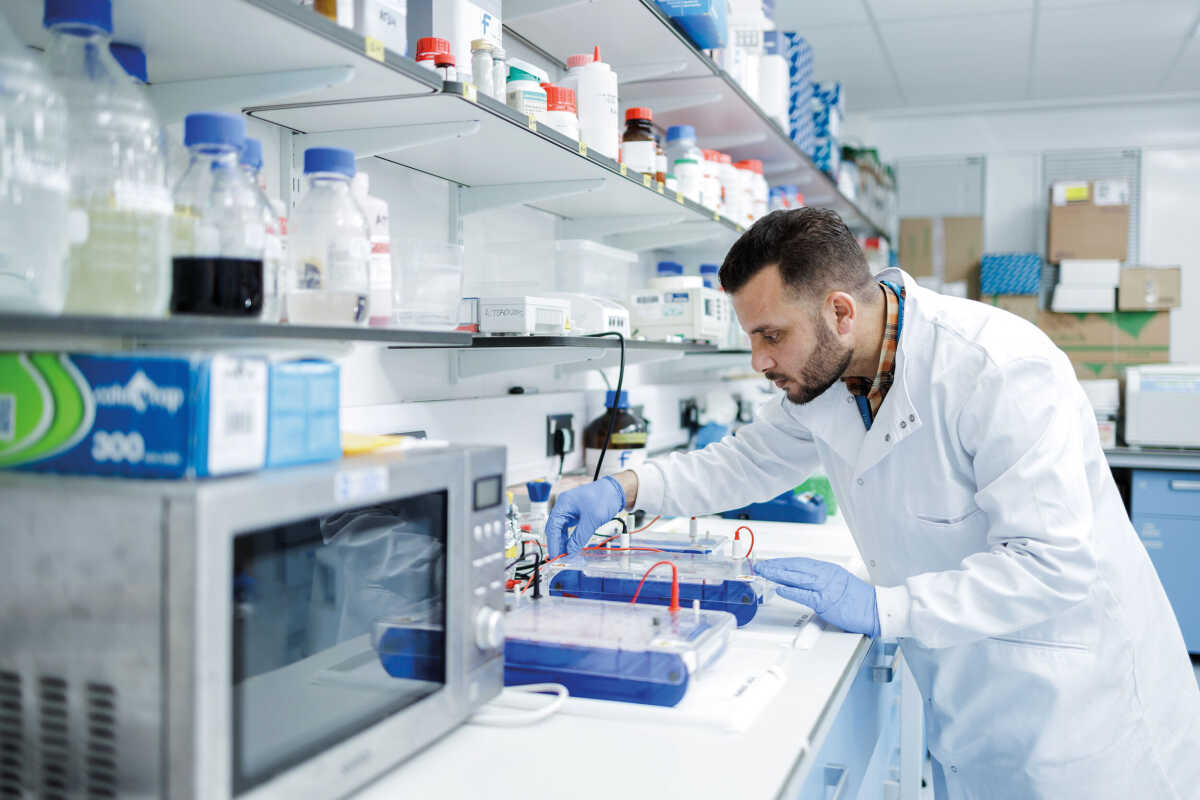 Postgraduate - School of Biosciences - University of Kent