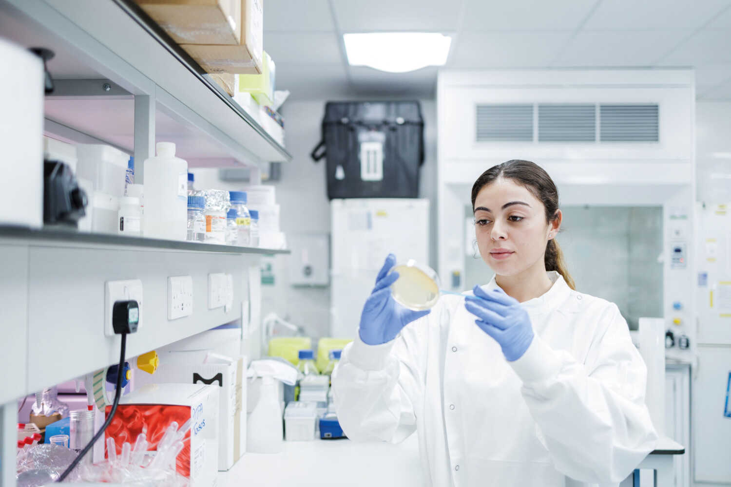 Postgraduate - Biosciences at Kent - University of Kent