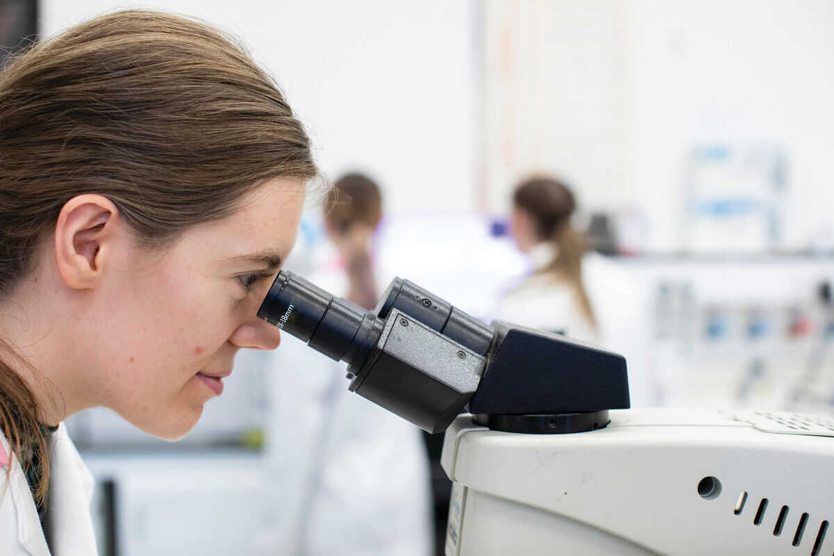 Your studies - University of Kent