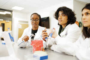 Research Scientist Apprenticeship at Kent - Apprenticeships ...