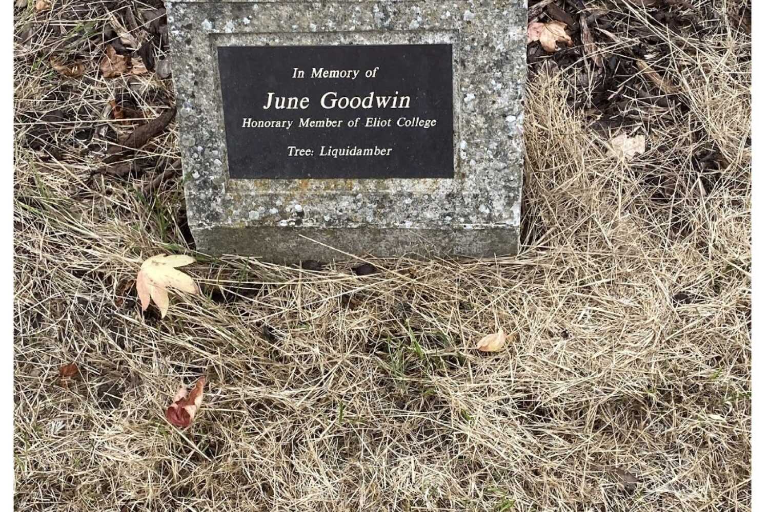 Memorial Plaque for June Goodwin - Kent Alumni - University of Kent