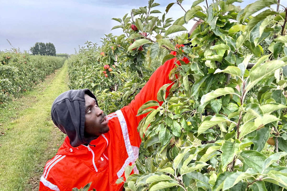 The gleaning project at the University of Kent - Student life ...