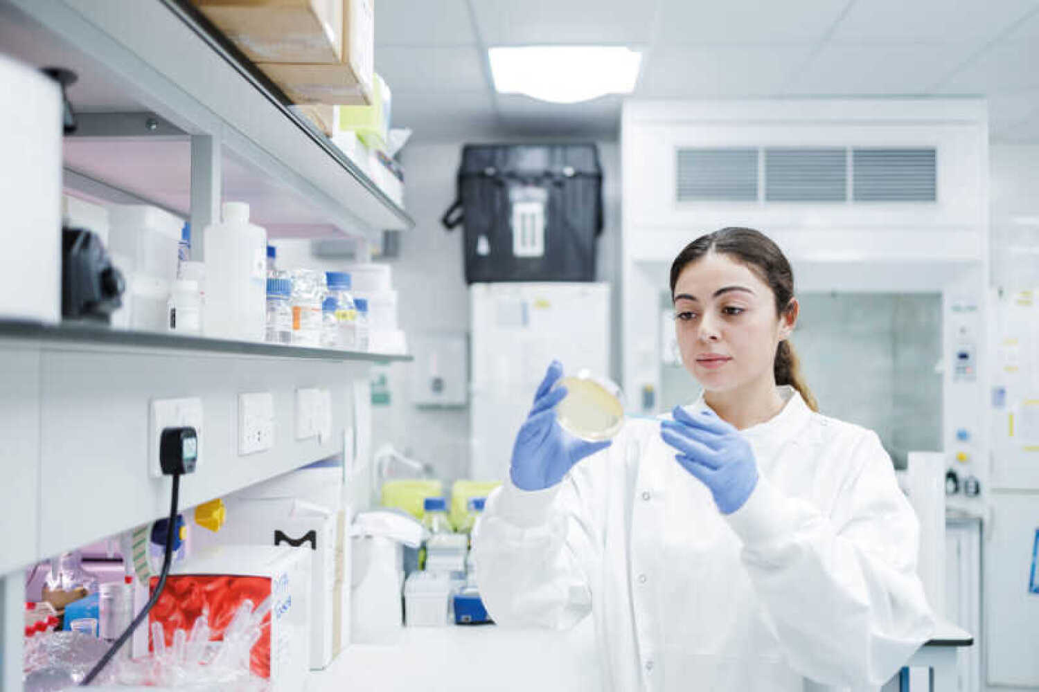 Biomedical Engineering - BEng (Hons) - Undergraduate courses ...