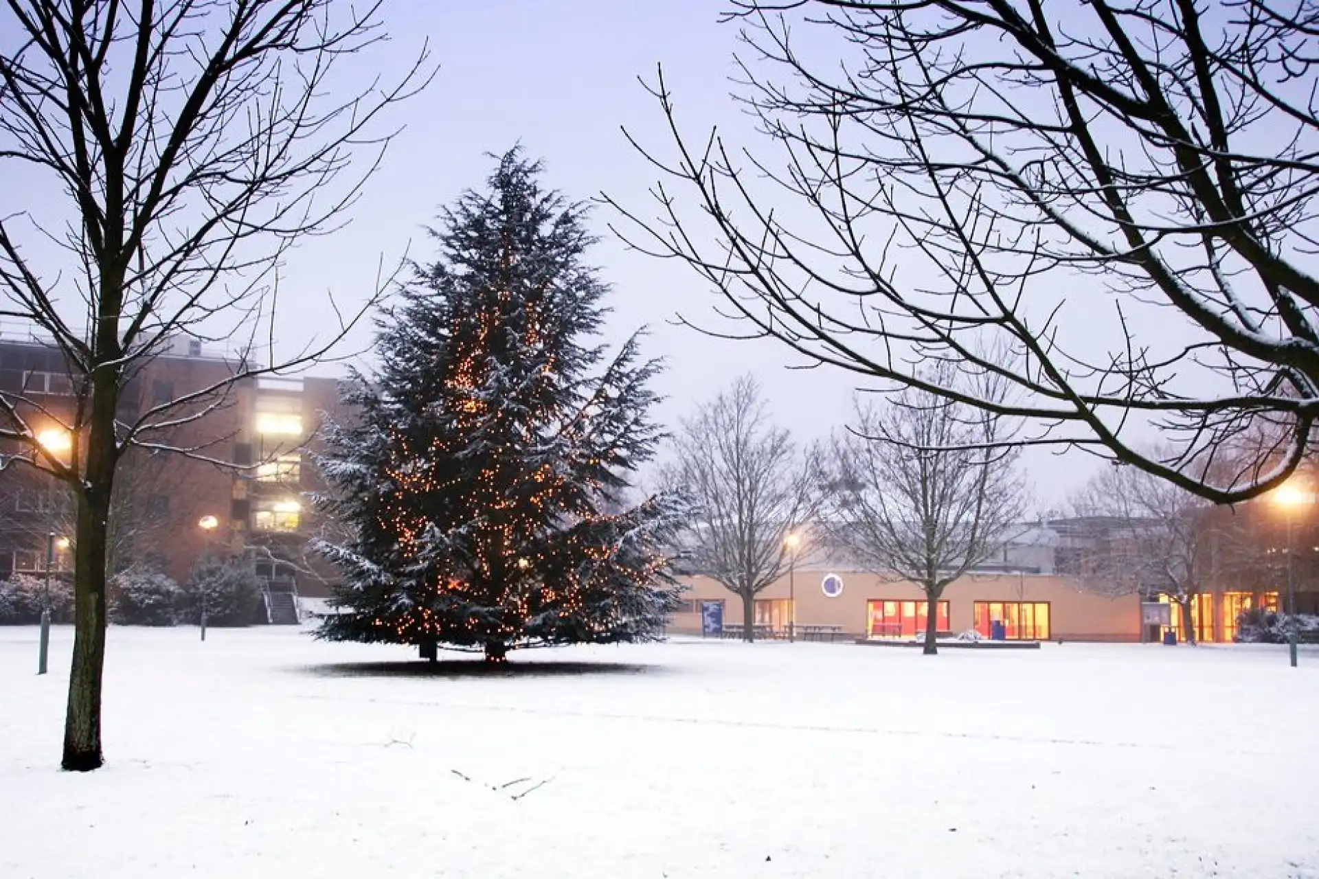 Winter break at Kent - My Kent - University of Kent
